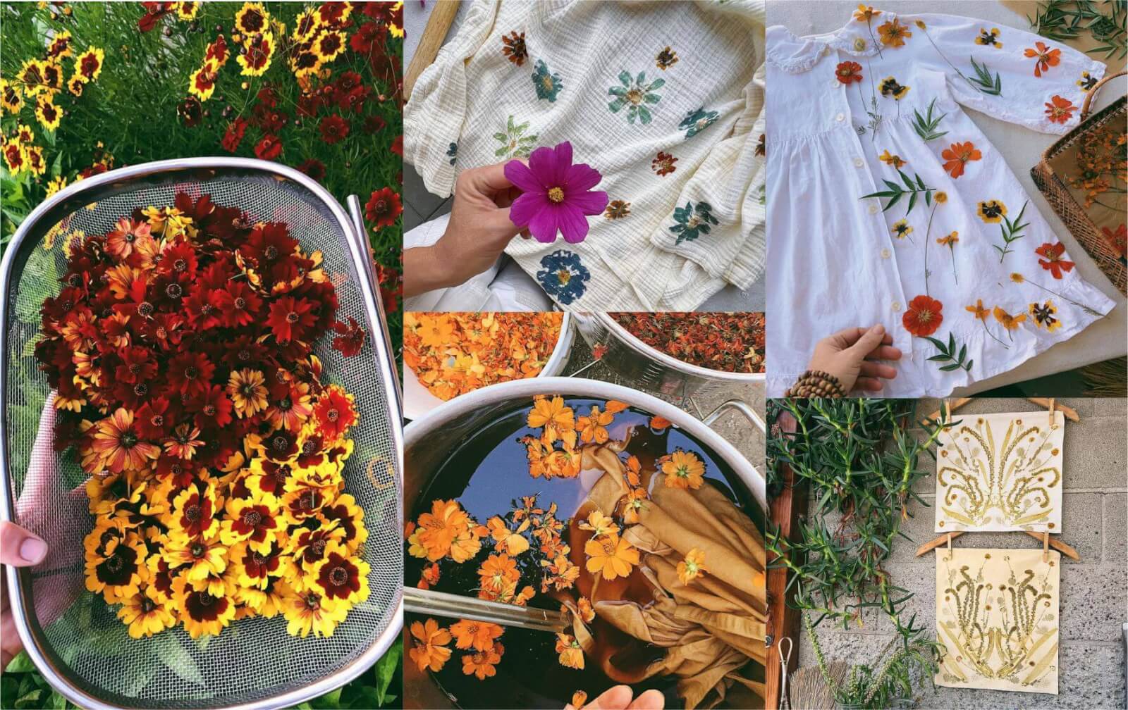 A Year in Natural Dyes with Liz Spencer